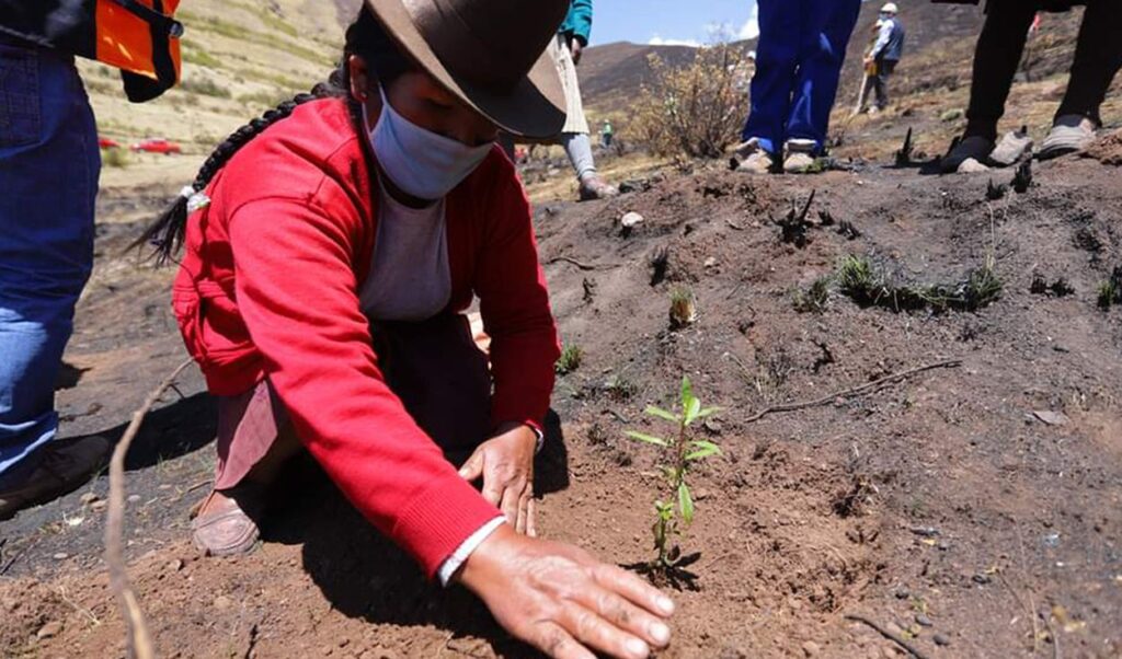 PROYECTOS AMBIENTALES DEL IMA LOGRARON FORESTAR Y REFORESTAR MÁS DE ...
